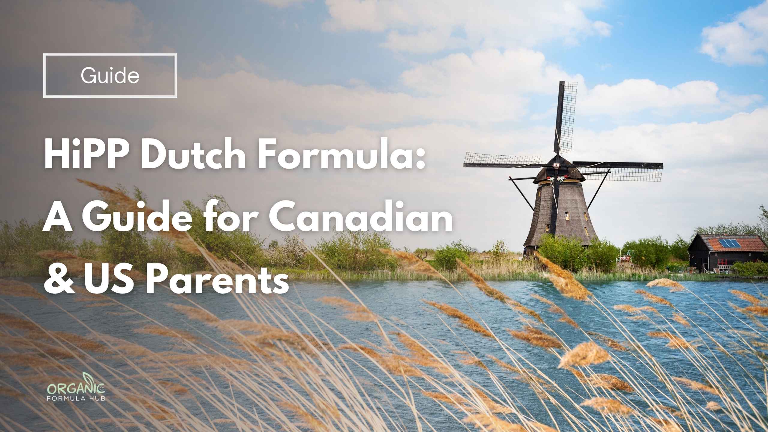 HiPP Dutch Formula: A Complete Guide for Canadian & US Parents ...
